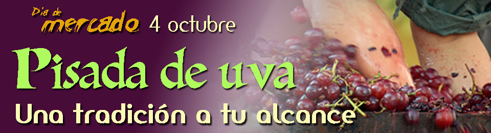 Día de Mercado en la Cámara Agraria - ASEACAM