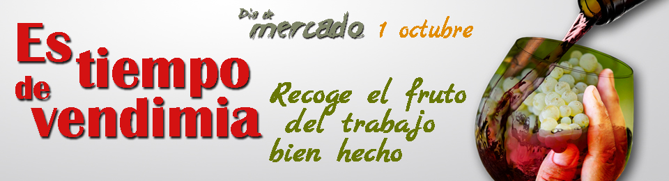 Día de Mercado en la Cámara Agraria - ASEACAM
